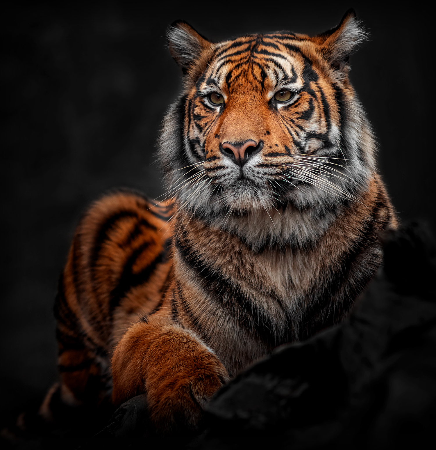 Jim Corbett National Park Information - Jungle Safari India